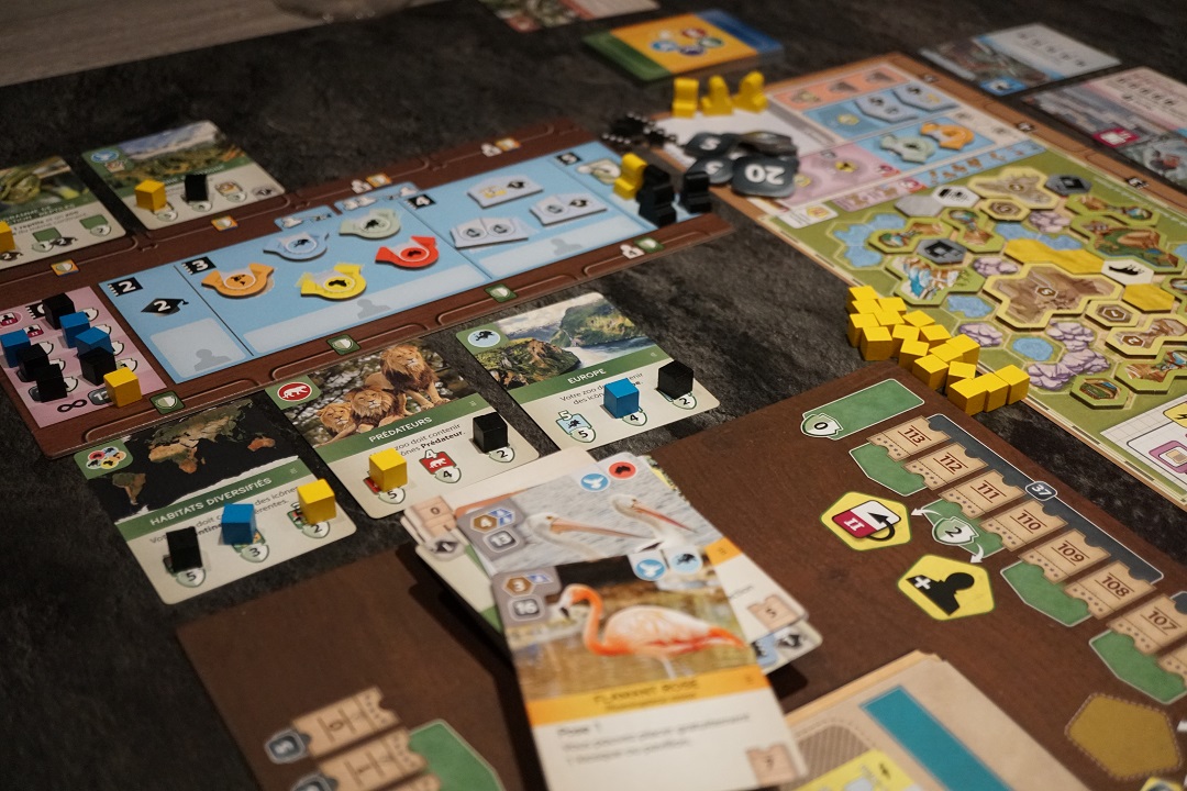 Ark Nova (VF) – Vindjeu